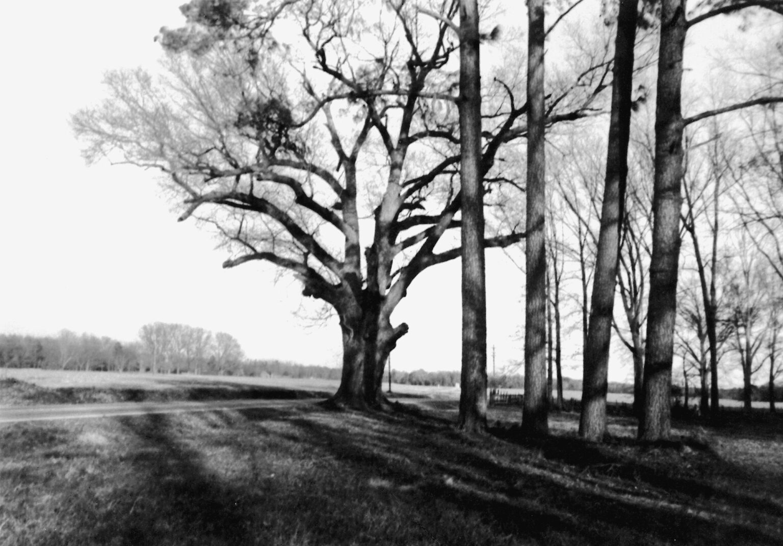 HISTORY – Indian Woods NC